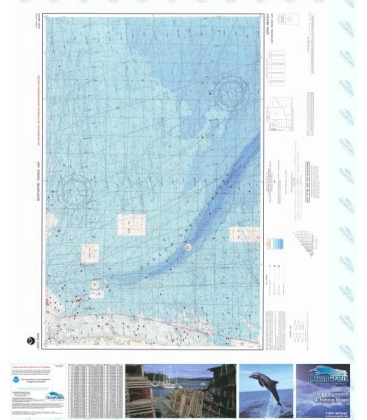 OceanGrafix Bathymetric (Bathy) & Fishing Charts (Maps) Long Branch - F-77