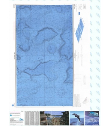 OceanGrafix Bathymetric (Bathy) & Fishing Charts (Maps) Orca Basin - LM-161