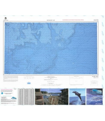 OceanGrafix Bathymetric (Bathy) & Fishing Charts (Maps) Walker Ridge - NG