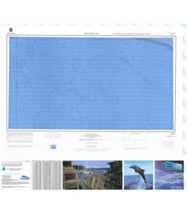 OceanGrafix Bathymetric & Fishing Charts Atwater - NG