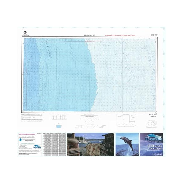 OceanGrafix Bathymetric (Bathy) & Fishing Charts (Maps) Pulley Ridge - NG