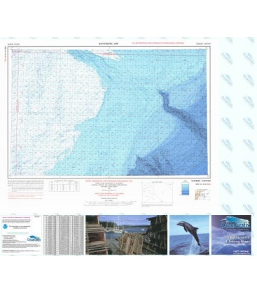 OceanGrafix Bathymetric (Bathy) & Fishing Charts (Maps) Hudson Canyon - NJ