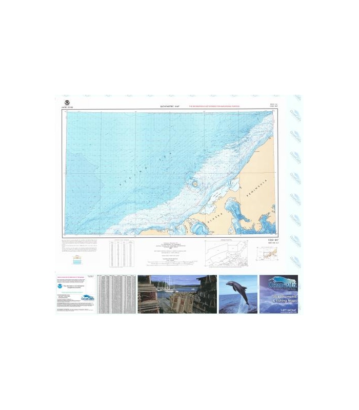 OceanGrafix Bathymetric (Bathy) & Fishing Charts (Maps) Cold Bay - NN