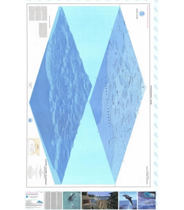 OceanGrafix Bathymetric (Bathy) & Fishing Charts (Maps) Eastern Sigsbee ...