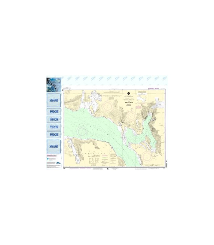 OceanGrafix NOAA Nautical Charts 17367 Thomas, Farragut, and Portage ...
