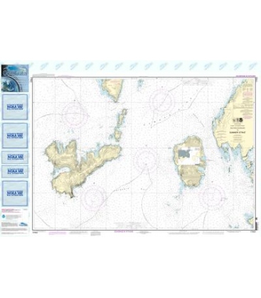 OceanGrafix NOAA Nautical Charts 17402 Southern Entrances to Sumner Strait