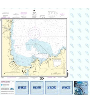 OceanGrafix NOAA Nautical Charts 19324 Island Of Hawai‘i Hilo Bay