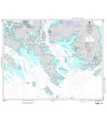 NGA Chart (formerly NIMA DMA) 71243 Selat Riau and Vicinity $28.00