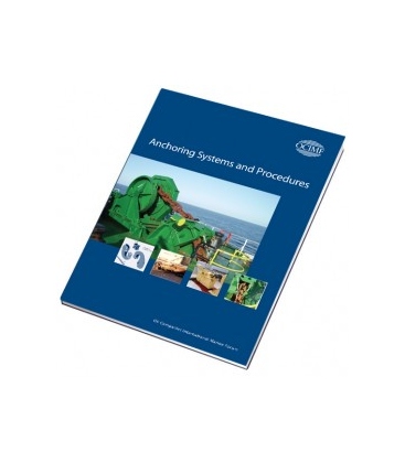 Anchoring Systems and Procedures