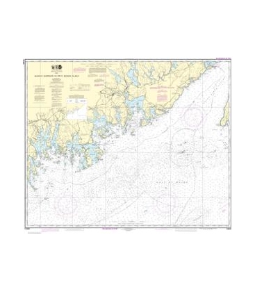 OceanGrafix NOAA Nautical Charts 13325 Quaddy Narrows to Petit Manan lsland